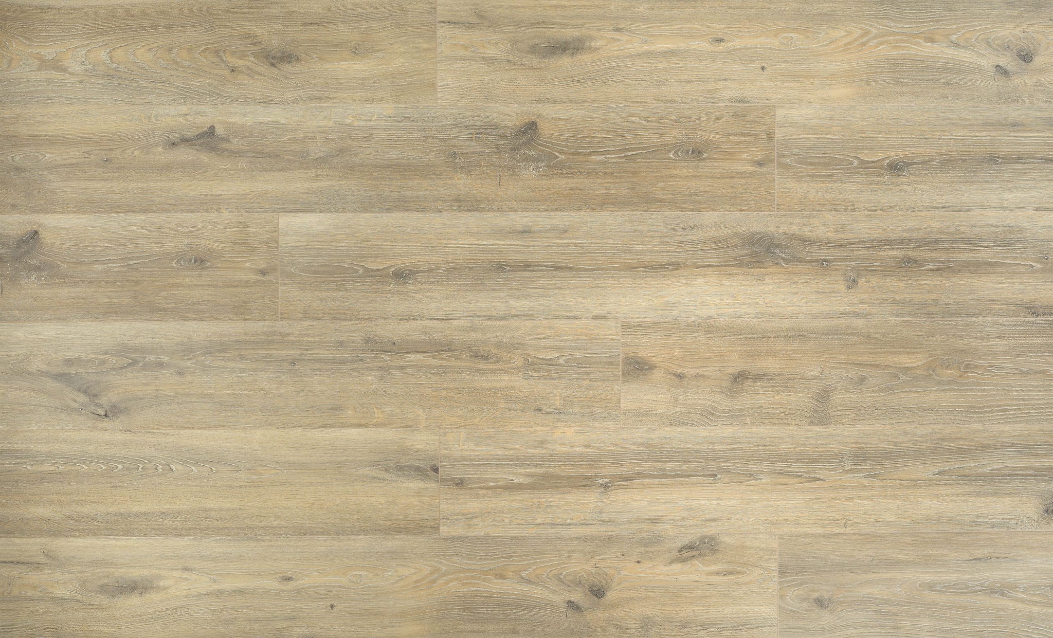 GRAND SELECTION Evolution: Designer floors in oak look