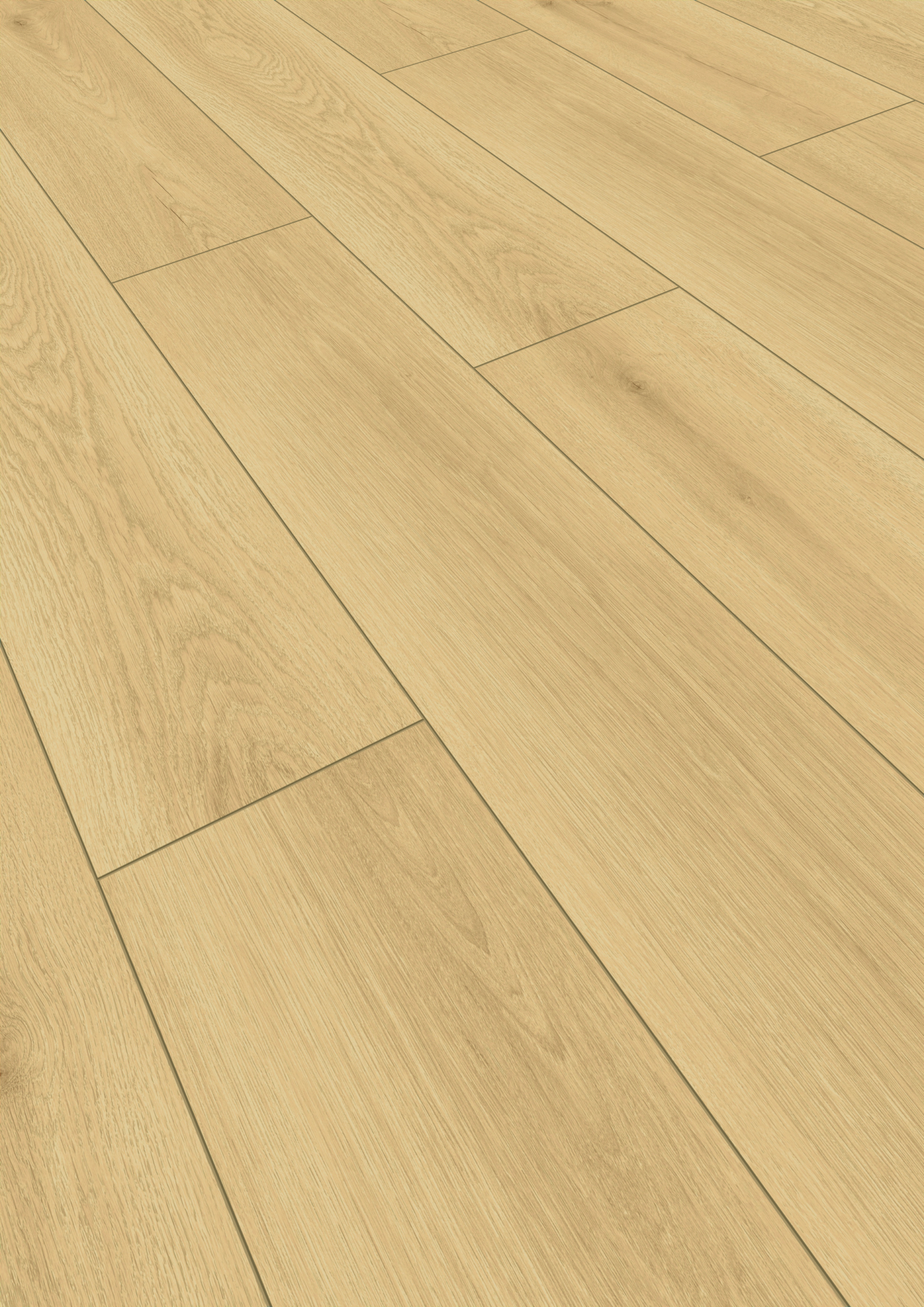 GRAND SELECTION Evolution: Designer floors in oak look